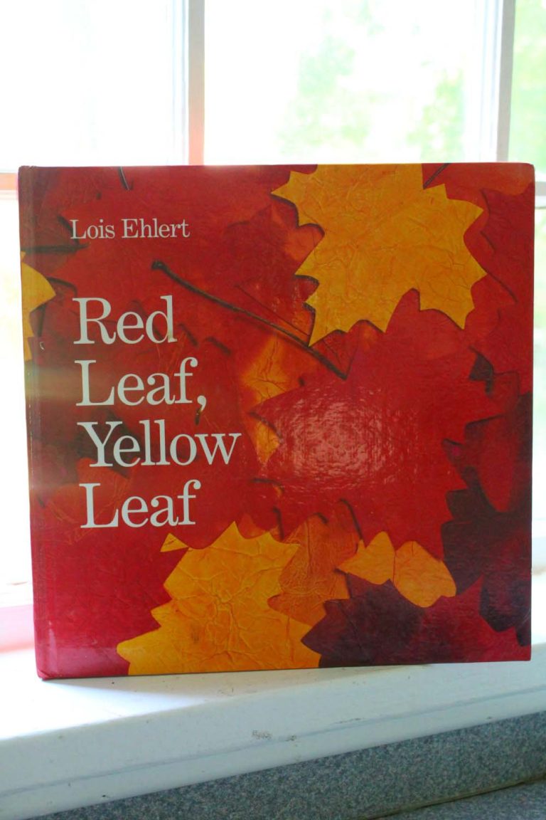 Red Leaf, Yellow Leaf Lesson Plan | It's a Mother Thing