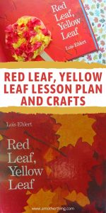 Red Leaf, Yellow Leaf Lesson Plan | It's a Mother Thing