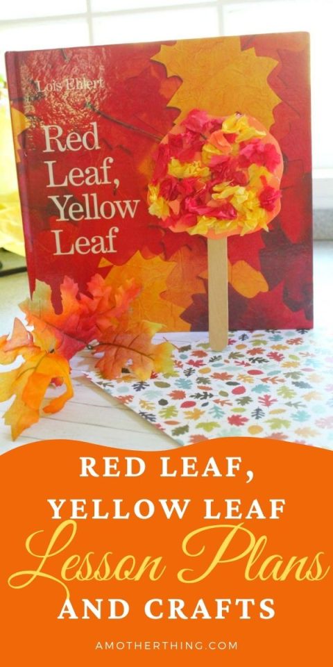 Red Leaf, Yellow Leaf Lesson Plan | It's a Mother Thing