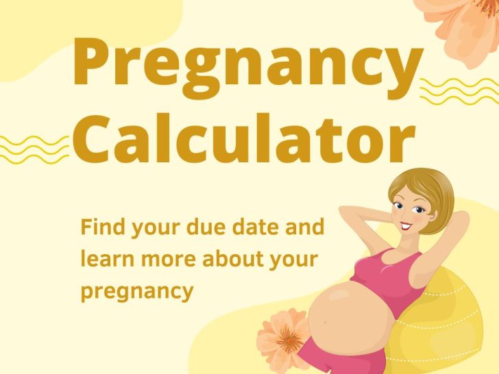 Pregnancy Calculator | It's a Mother Thing