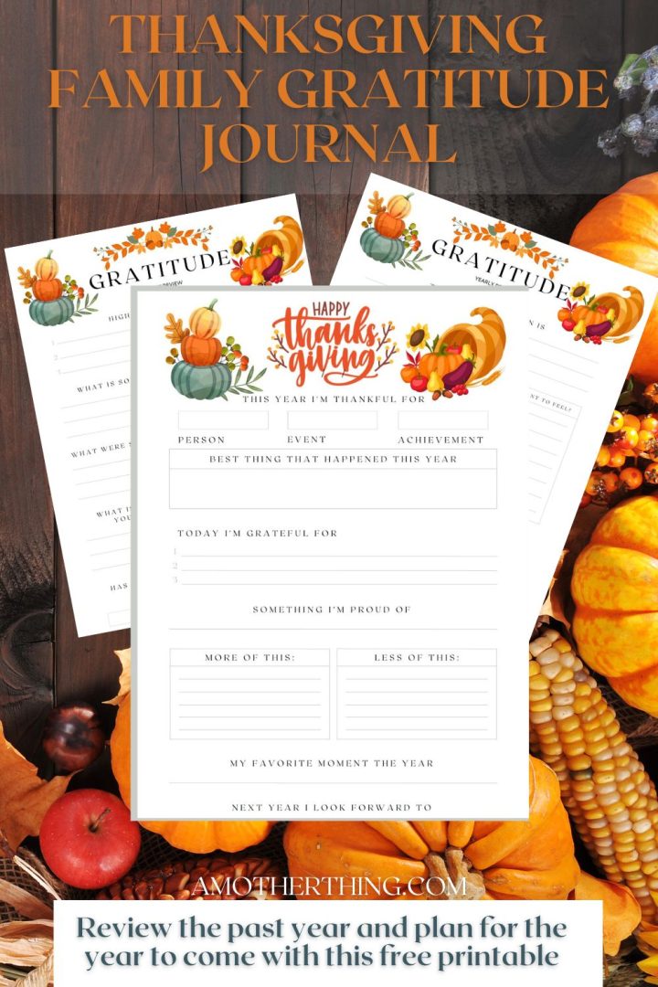 Printable Thanksgiving Family Gratitude Journal | It's a Mother Thing