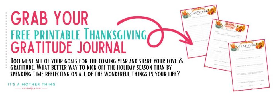 Printable Thanksgiving Family Gratitude Journal | It's a Mother Thing