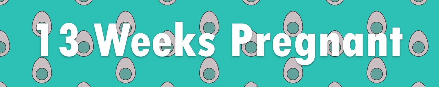 13 Weeks Pregnant | It's a Mother Thing