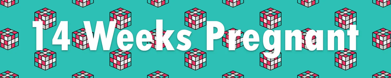 14 Weeks Pregnant | It's a Mother Thing