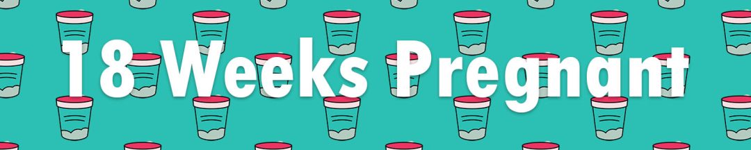 18 Weeks Pregnant | It's a Mother Thing