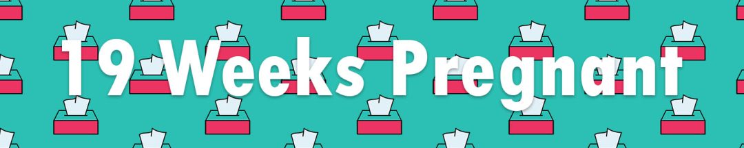 19 Weeks Pregnant | It's a Mother Thing